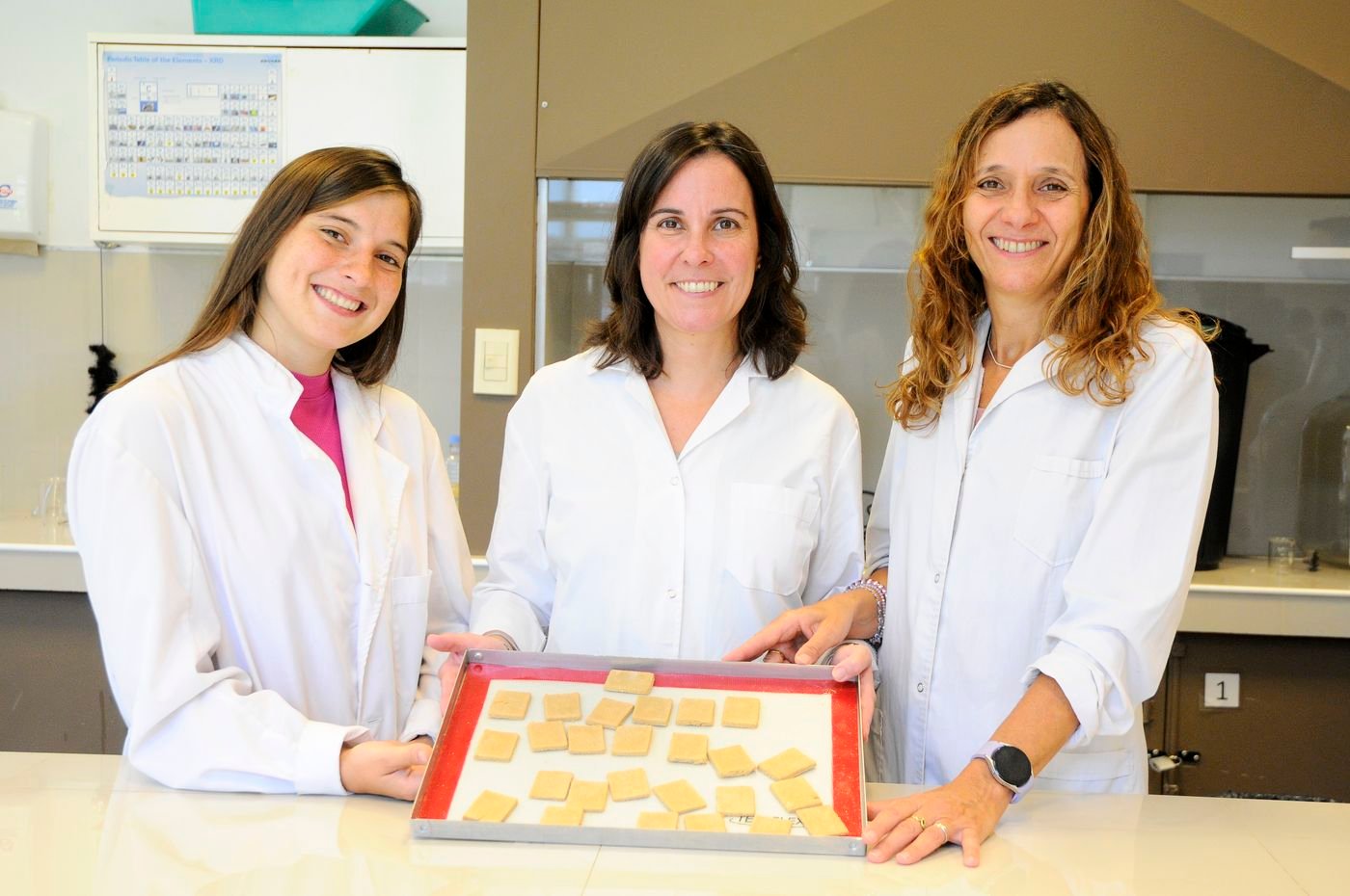 Desarrollaron alimentos sin TACC a base de salvado de arroz ...