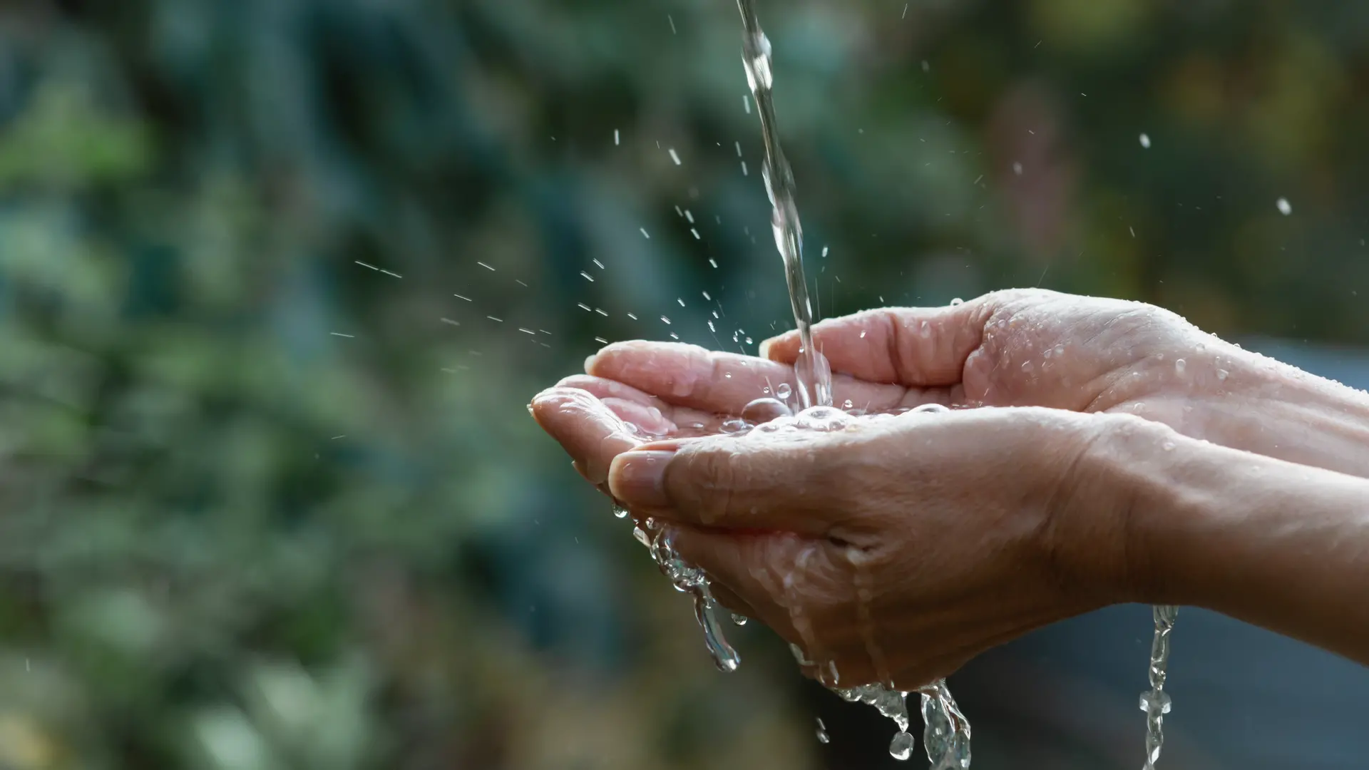 Hoy 22 de marzo, Día Mundial del Agua - JujuyPrimicias.com